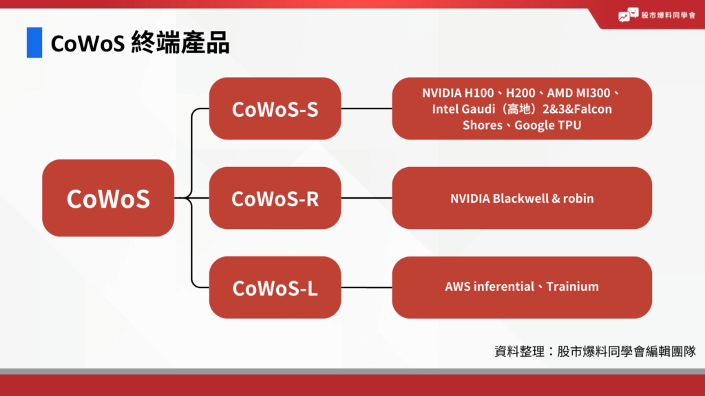 CoWoS-S、CoWoS-R、CoWoS-L 是什麼？概念股有哪些？-同學會資訊股長 | CMoney投資網誌