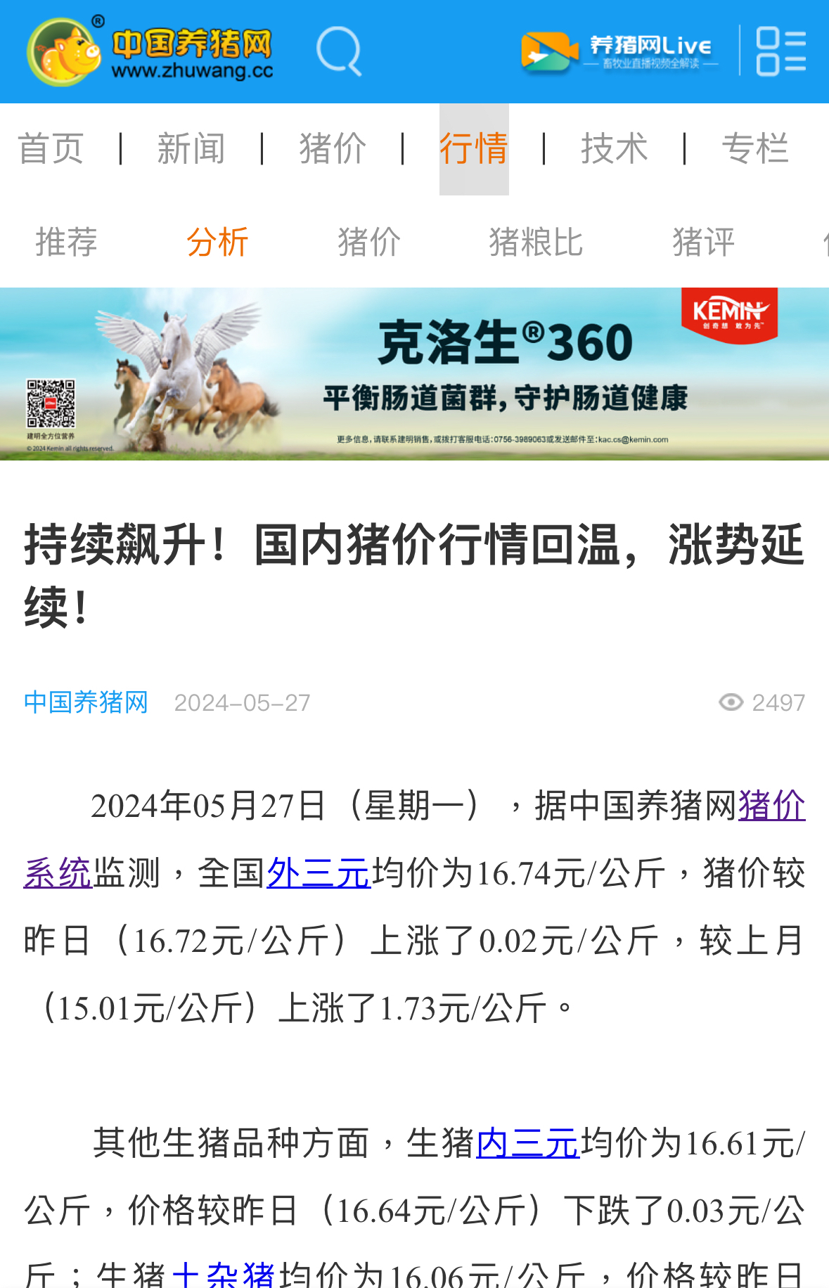 3105 穩懋 - 穩了 豬價回溫 ｜CMoney 股市爆料同學會