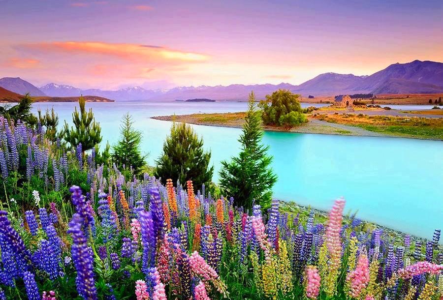 TWA00 加權指數 - 2022/8/25 盤勢看法仍...｜CMoney 股市爆料同學會