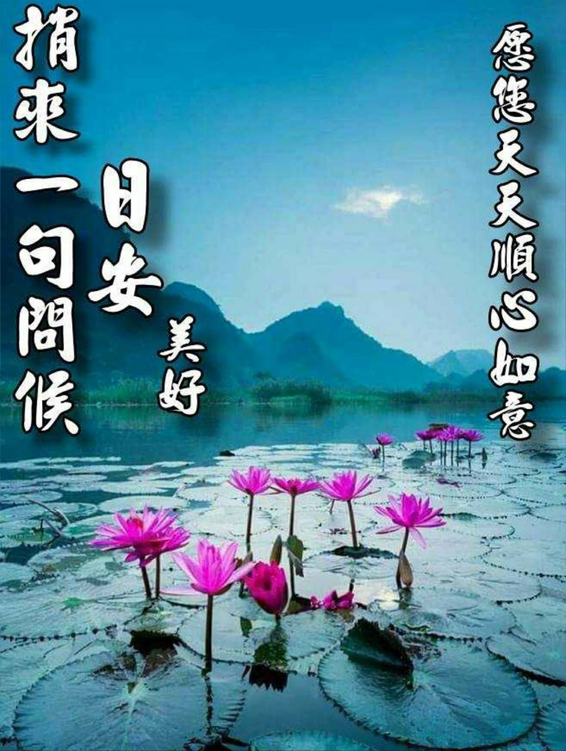 TWA00 加權指數 - 各位同學晚安~ 夜晚愉快！ 台股今日早盤一度漲逾百點，推升指...｜CMoney 股市爆料同學會