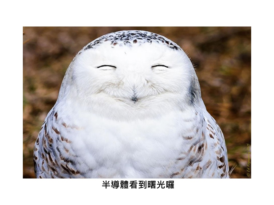 3661 世芯-KY - 從設備商可以窺見半導體的景氣狀況，雖然應材在2022年的積壓...｜股市爆料同學會