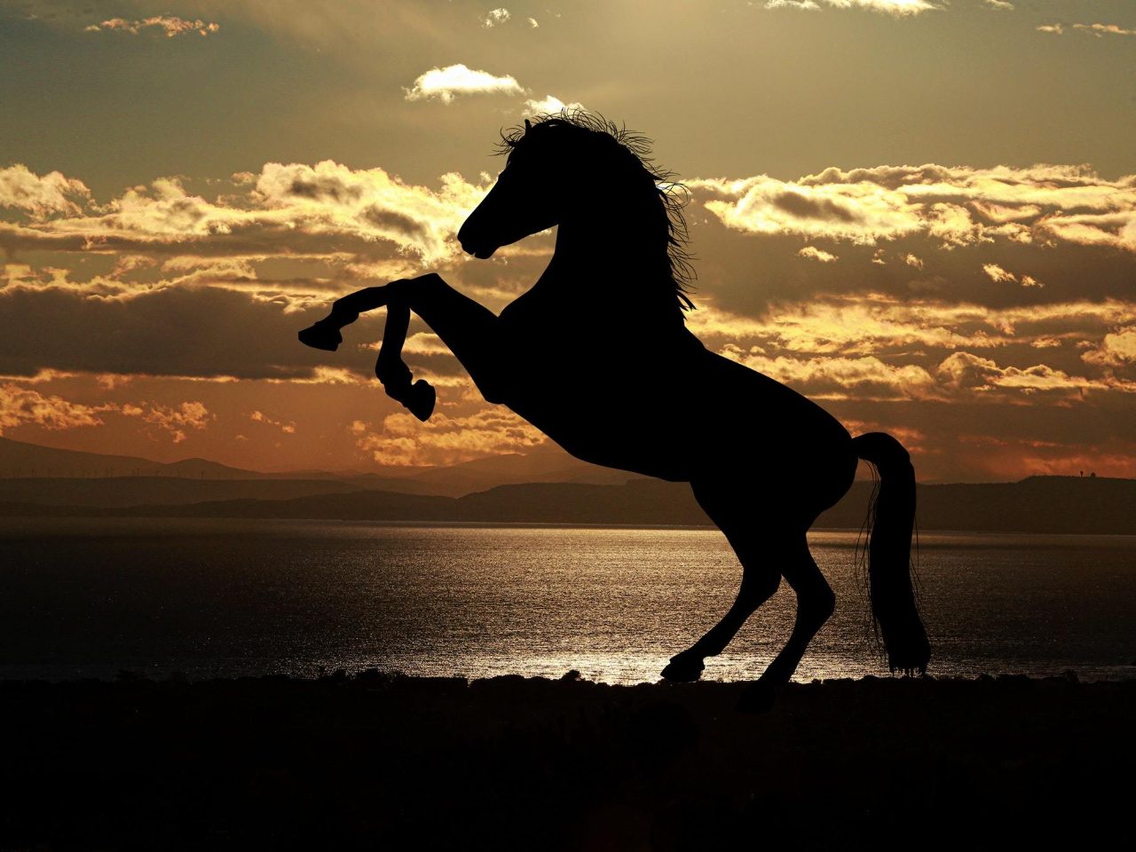 5328 華容 - 小黑馬.華容VS大黑馬.佳凌！ 國巨，華新科等..主要是做...｜股市爆料同學會