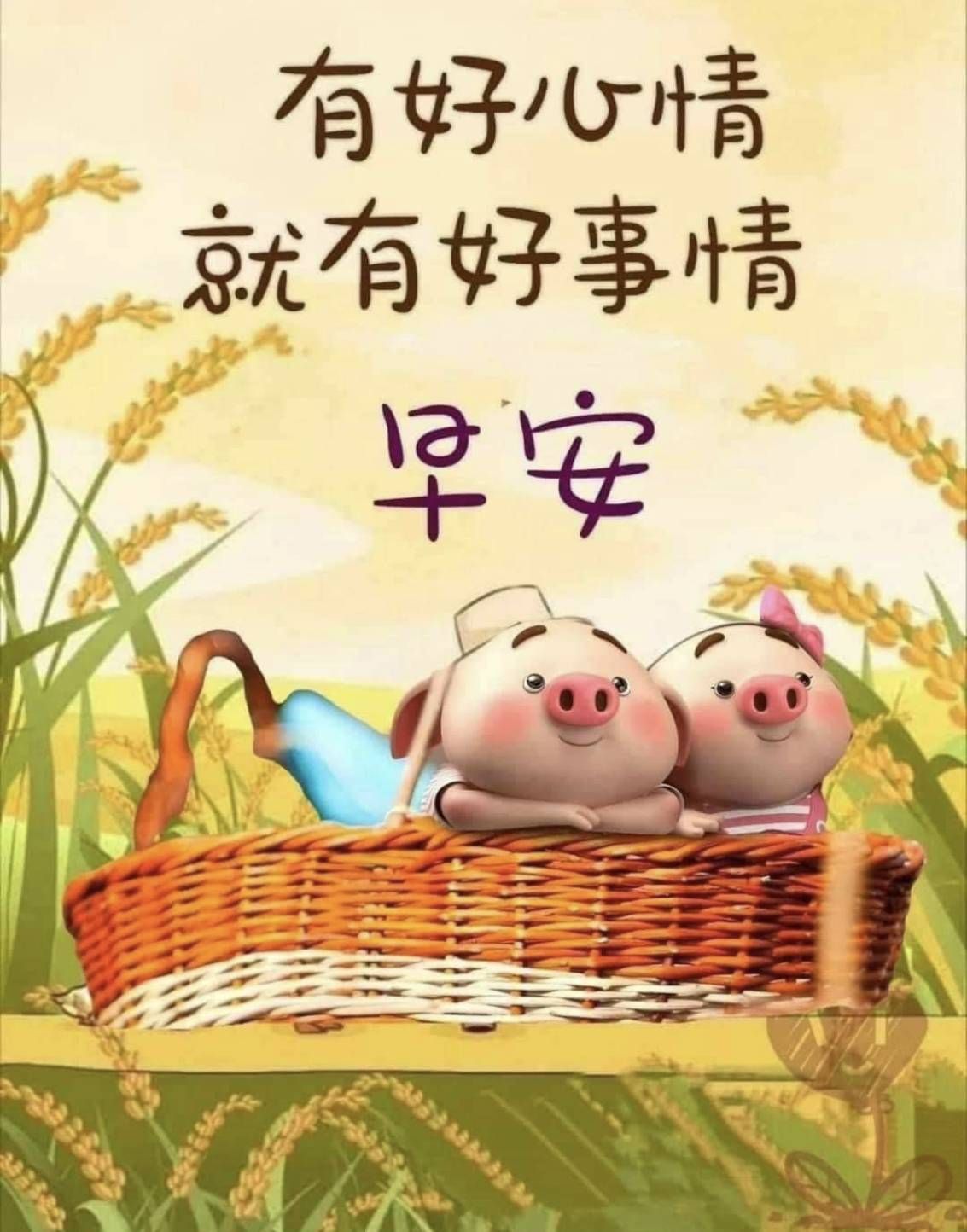 TWA00 加權指數 - 🙋早安---- 假日不談...｜CMoney 股市爆料同學會