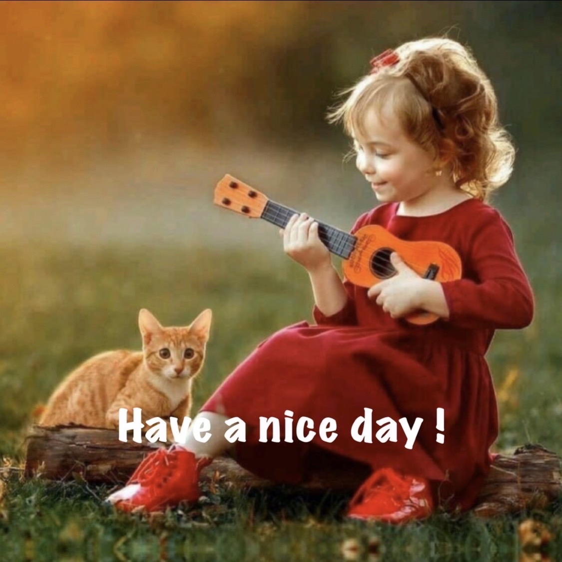 TWA00 加權指數 - 何謂毫無二心｜CMoney 股市爆料同學會