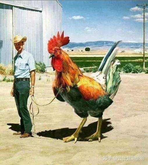 6125 廣運 - 75元附近！拉回休息都是可以買...｜CMoney 股市爆料同學會