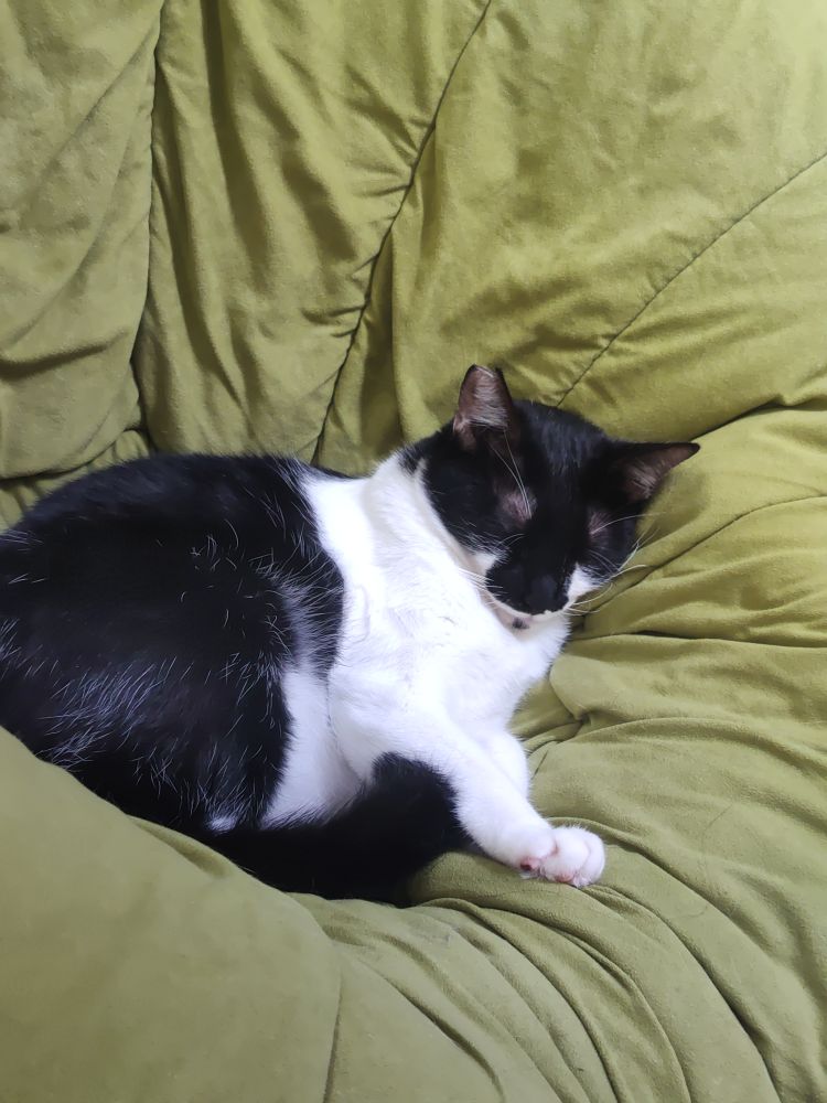 TWA00 加權指數 - 鮑爾至始至終都沒有改變過 是市場解讀不同｜CMoney 股市爆料同學會