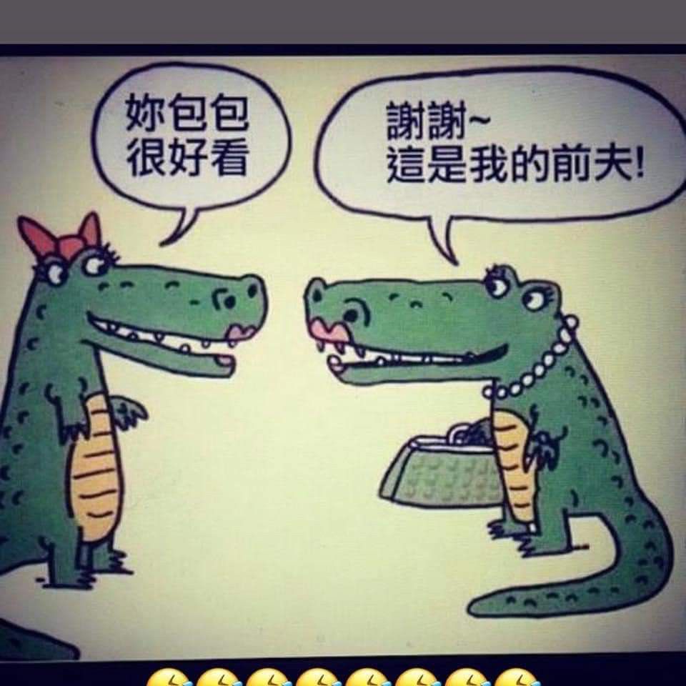 TWA00 加權指數 - 小臻臻為什麼還沒有量呢 價量...｜CMoney 股市爆料同學會