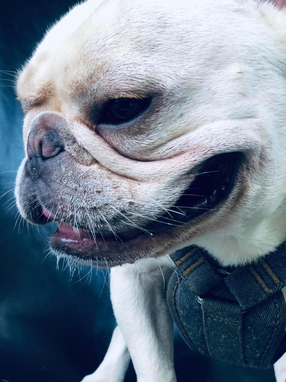 2615 萬海 - 🥵 跌不休｜CMoney 股市爆料同學會