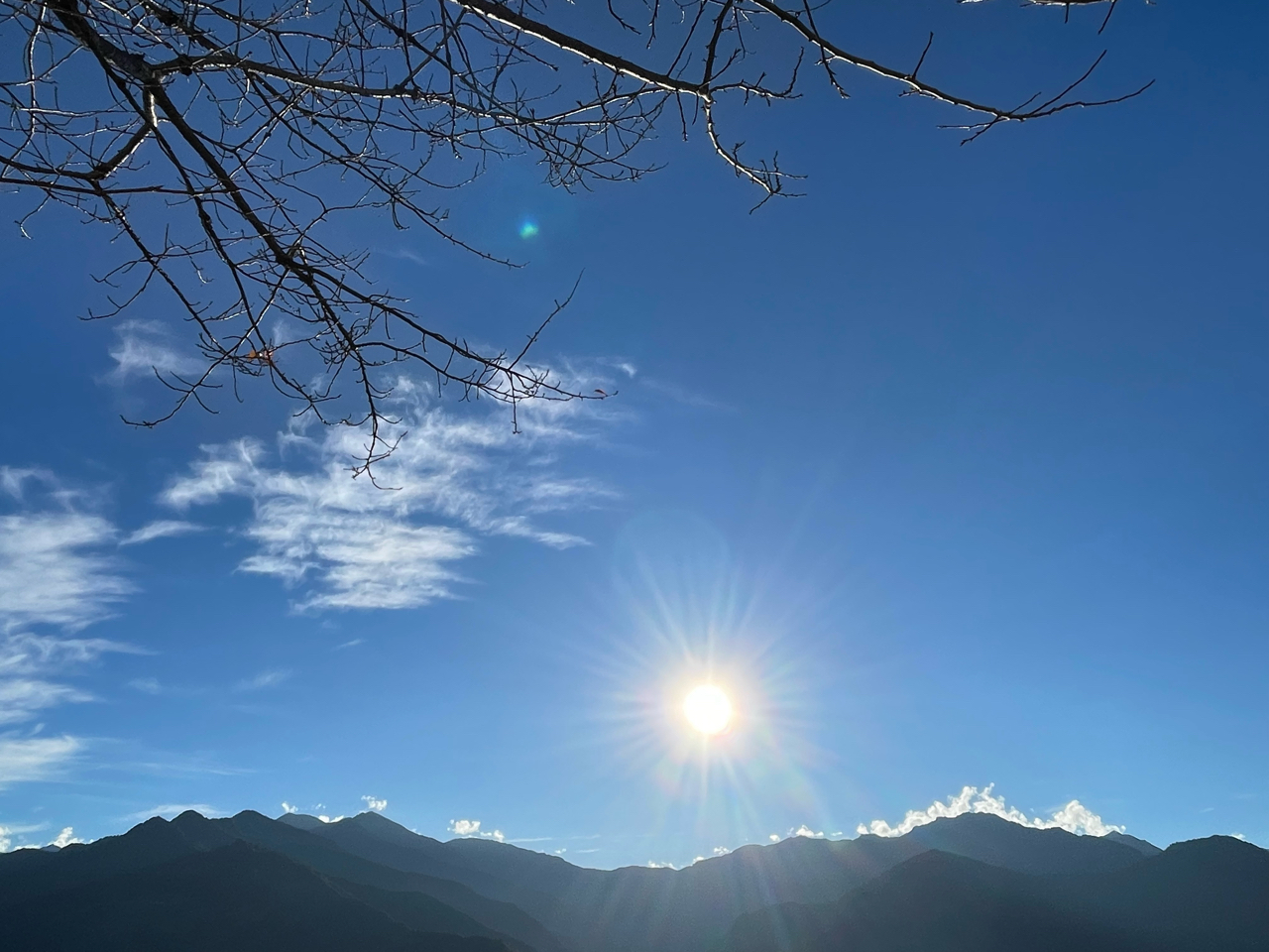 6547 高端疫苗 - 秋日暖陽 秋天是個充滿詩意的季...｜CMoney 股市爆料同學會