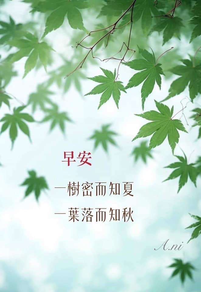 TWA00 加權指數 - 112.10.28[財經爆報系列]內含個人新聞解讀及產業新聞...｜股市爆料同學會