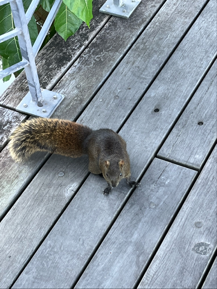 TWA00 加權指數 - 指數整理 看看櫃買就知道 中小...｜CMoney 股市爆料同學會