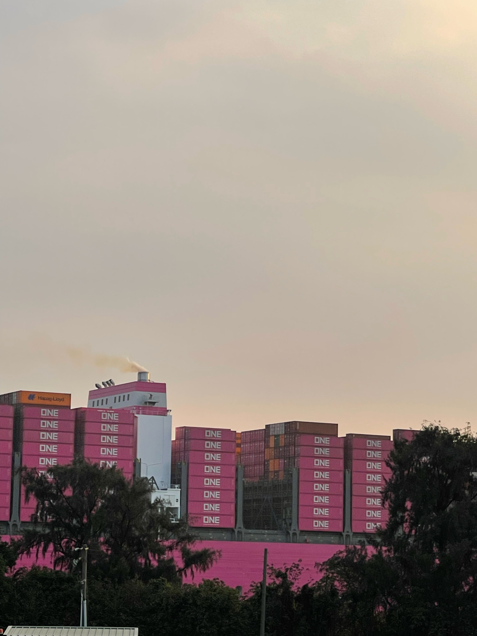 2603 長榮 - 粉紅色的 太顯眼 會被打｜CMoney 股市爆料同學會