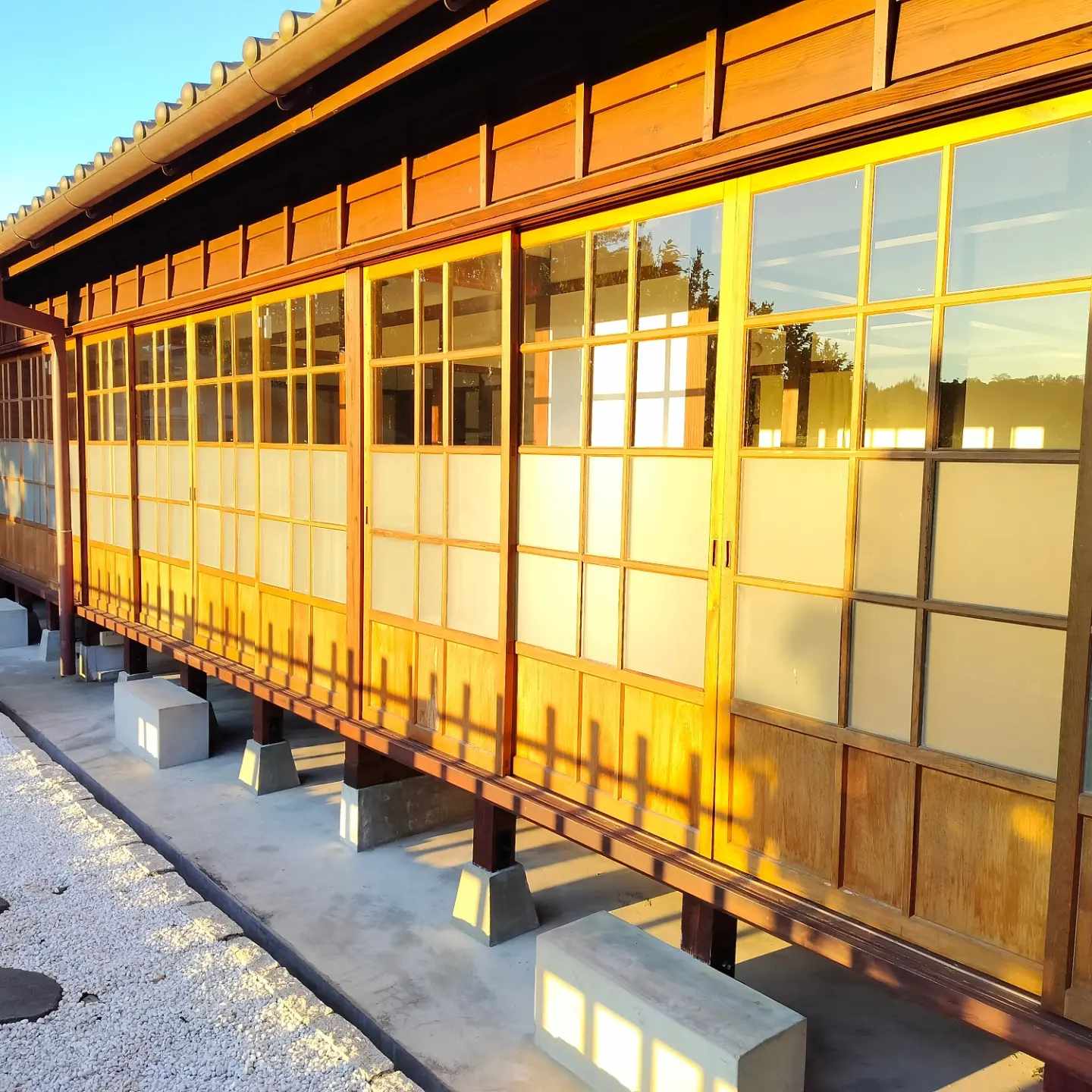 2603 長榮 - 收入有長約價/現貨價 運價指數...｜CMoney 股市爆料同學會