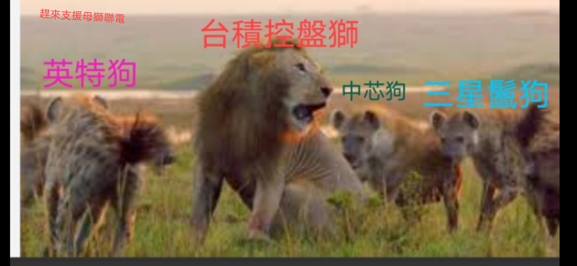 TWA00 加權指數 - 真看不慣台積漲了嘴聯電的 現在才馬後炮喊台積好棒棒？！ ｜CMoney 股市爆料同學會