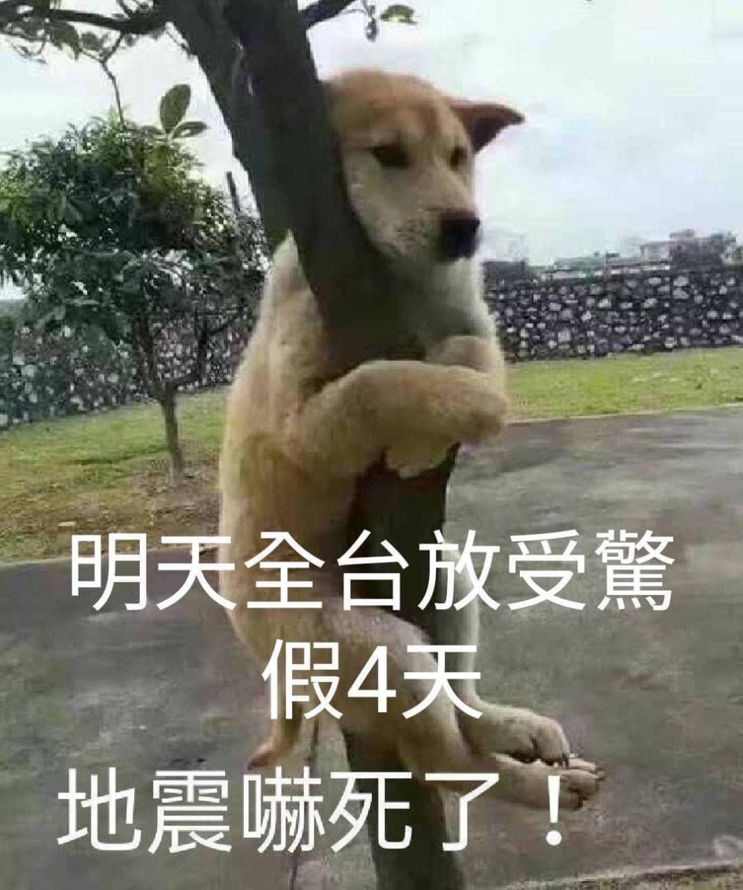 9945 潤泰新 - 股市最新爆料，掌握股友們對眾個...｜CMoney 股市爆料同學會