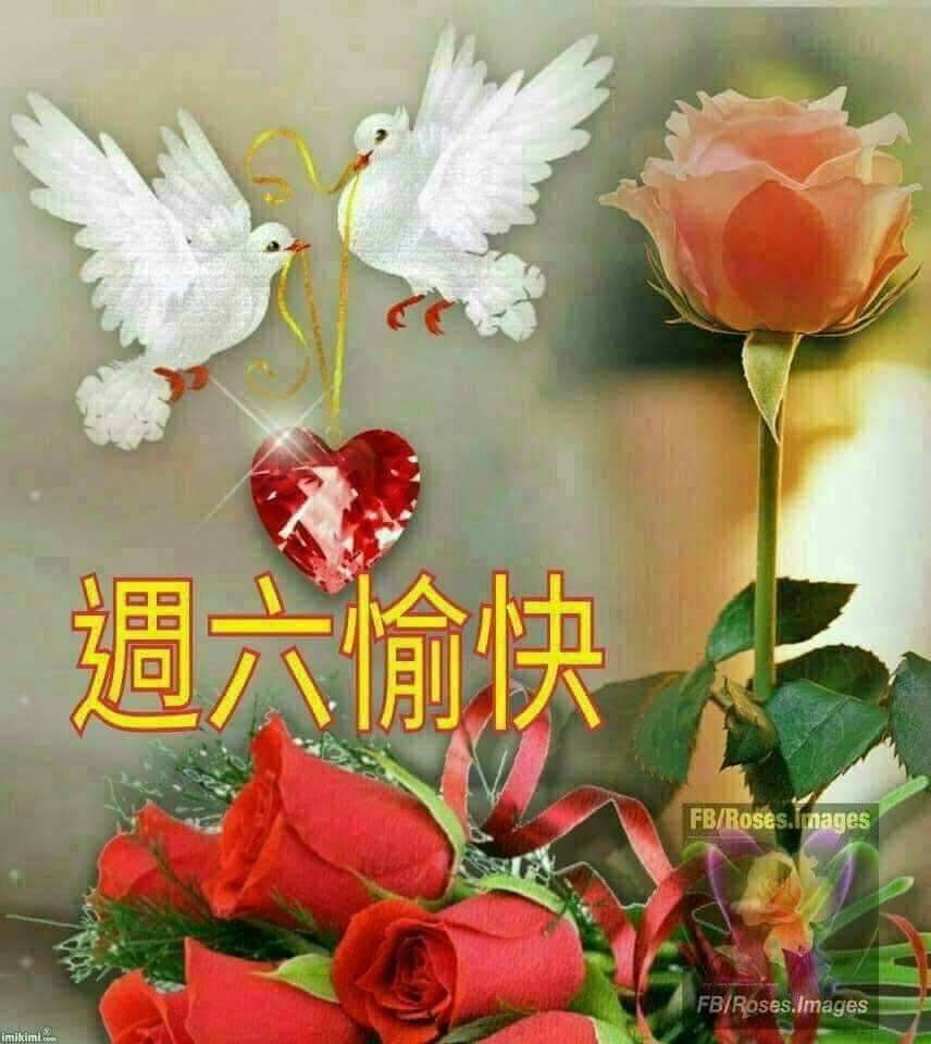 TWA00 加權指數 - 早安啊！朋友們，辣妹猛男們。｜CMoney 股市爆料同學會