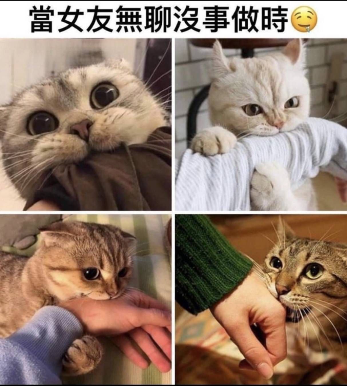 TWA00 加權指數 - 上升趨勢在上週五已完成 最後一哩路在4/15缺口｜CMoney 股市爆料同學會