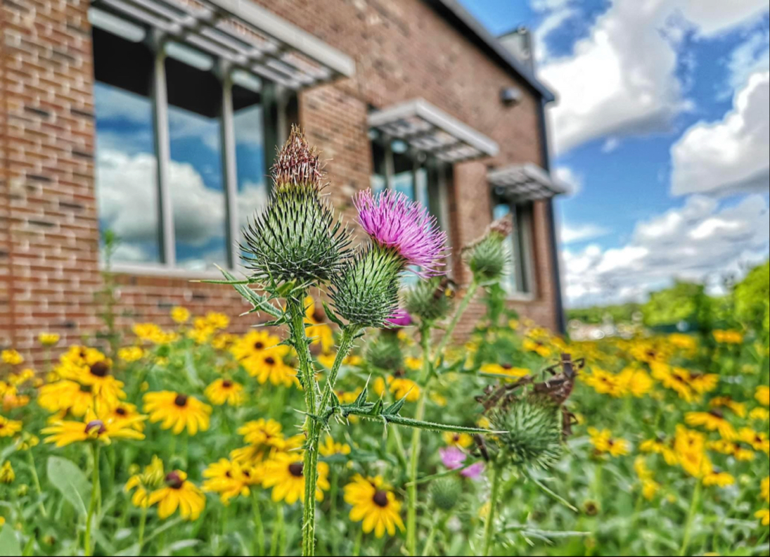 TWA00 加權指數 - 和任何人走得太近都是一種災難。...｜CMoney 股市爆料同學會