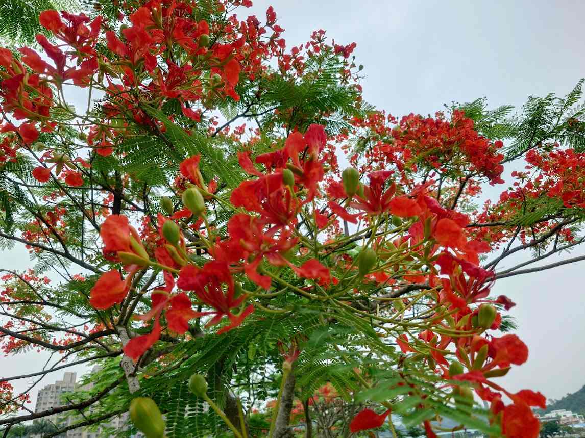 9945 潤泰新 - 兵臨城下.任人糟蹋. 偶有零星...｜CMoney 股市爆料同學會