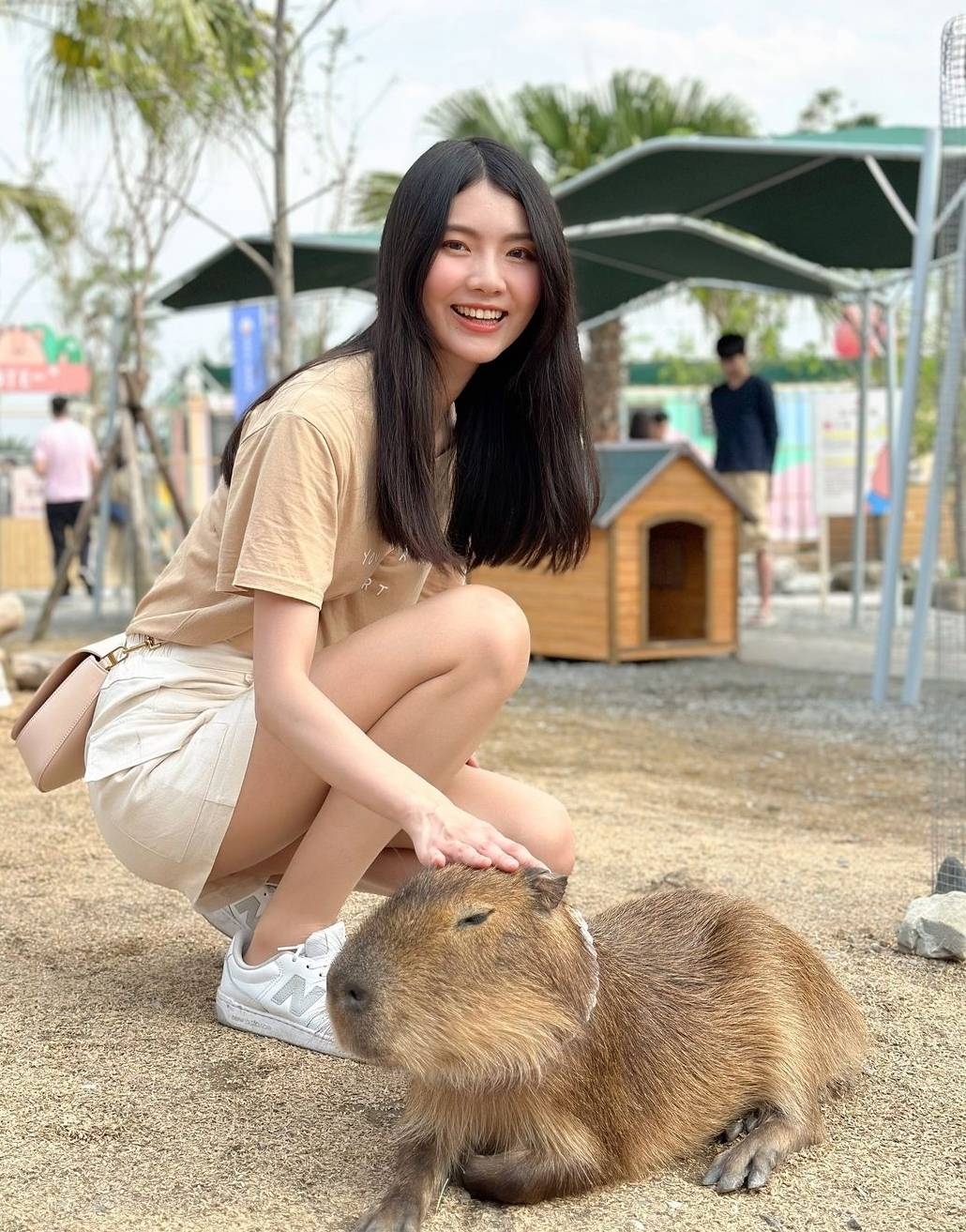 jpp-KY(5284) - 今日股價走勢+jpp-KY討論區