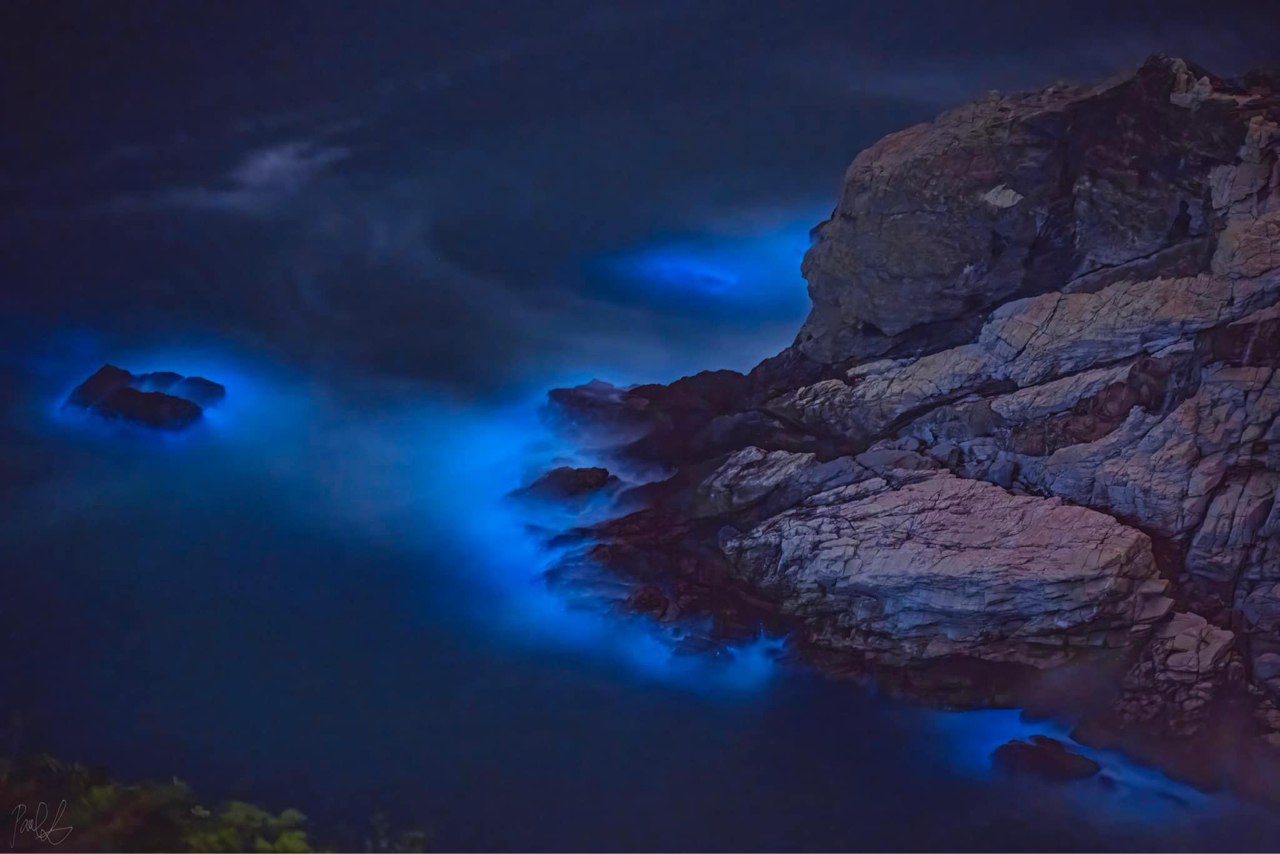 TWA00 加權指數 - 真正拉開人與人之間距離的， 不是努力，不是能力，而是心力。 ...｜CMoney 股市爆料同學會