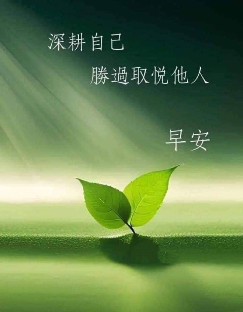 00929 復華台灣科技優息 - 海運&00929&cowos 大飆股｜CMoney 股市爆料同學會