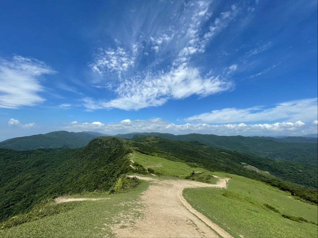 TWA00 加權指數 - 很佩服有些做高頻程式交易的朋友，每天指數，個股在交易室 8:...｜CMoney 股市爆料同學會
