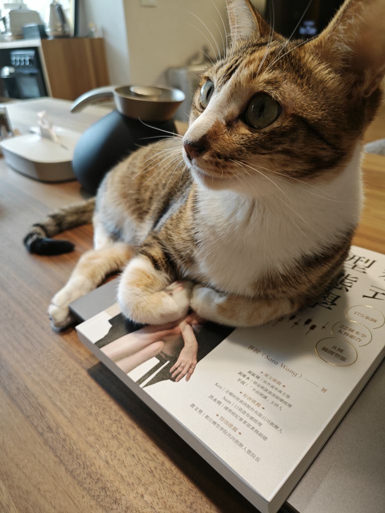 TWA00 加權指數 - 好啊你~ 壓的我不能呼吸了啦~ 外面天氣很熱， 外出一定要...｜CMoney 股市爆料同學會