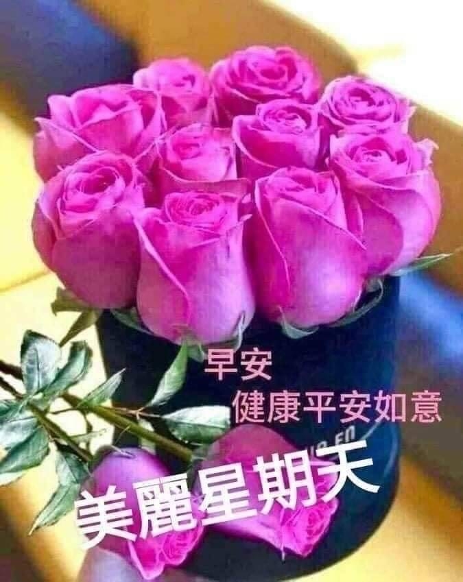 TWA00 加權指數 - 早安啊！朋友們，猛男辣妹們。｜CMoney 股市爆料同學會