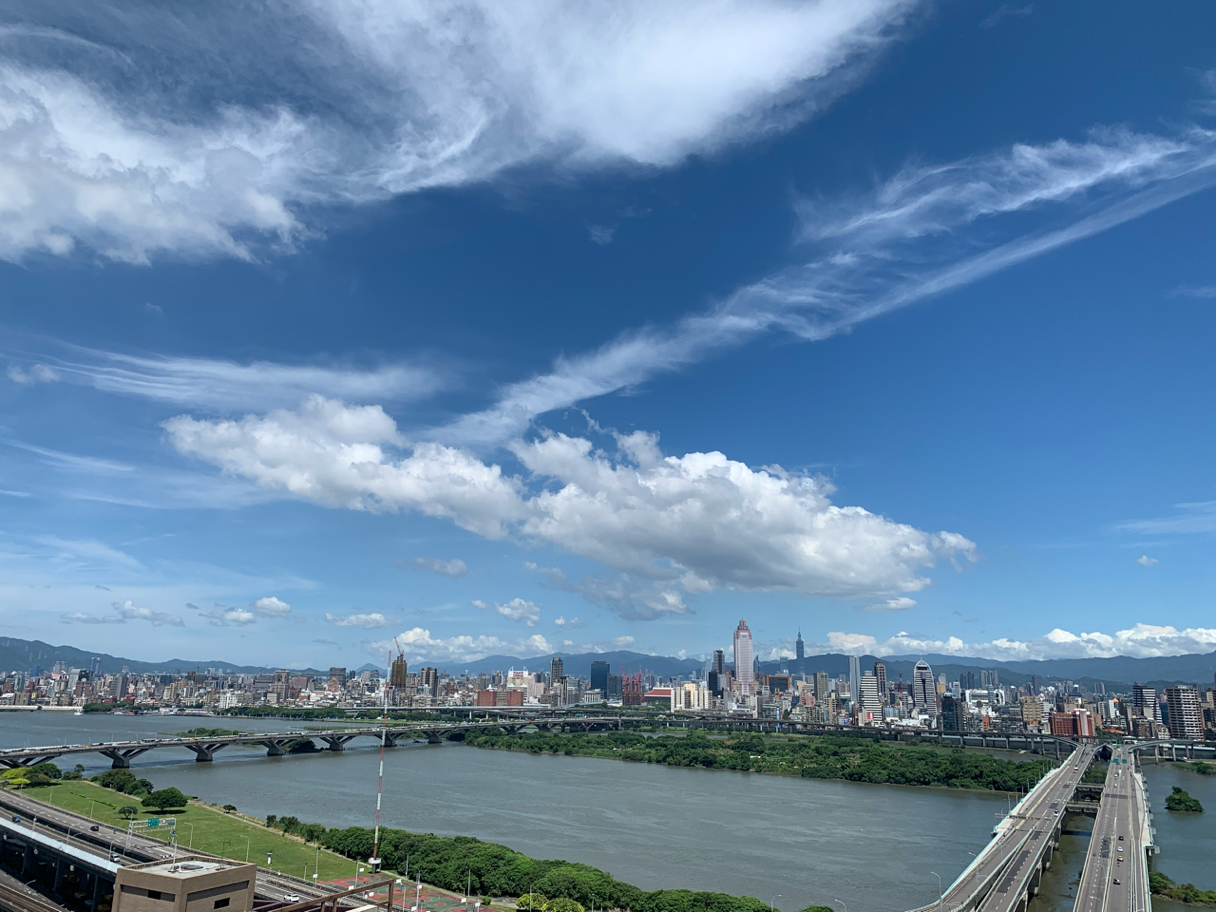 6643 M31 - 當跌停成為日常⋯ 就像一場醒著的惡夢｜CMoney 股市爆料同學會