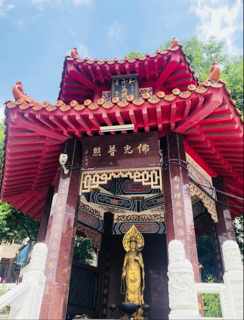 2603 長榮 - 七月份營收已經出來了，相信半年...｜CMoney 股市爆料同學會