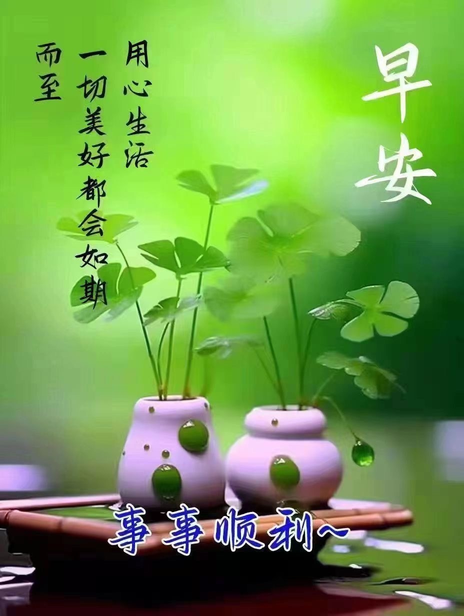 TWA00 加權指數 - 早安，各位大大，美眉帥哥們。｜CMoney 股市爆料同學會