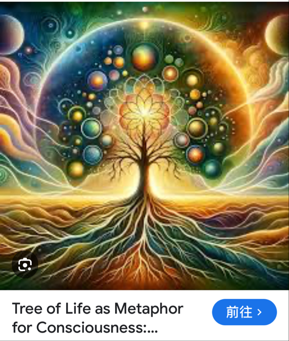 6541 泰福-KY - 佩服尹老 解題 泰福無量漲停要...｜CMoney 股市爆料同學會