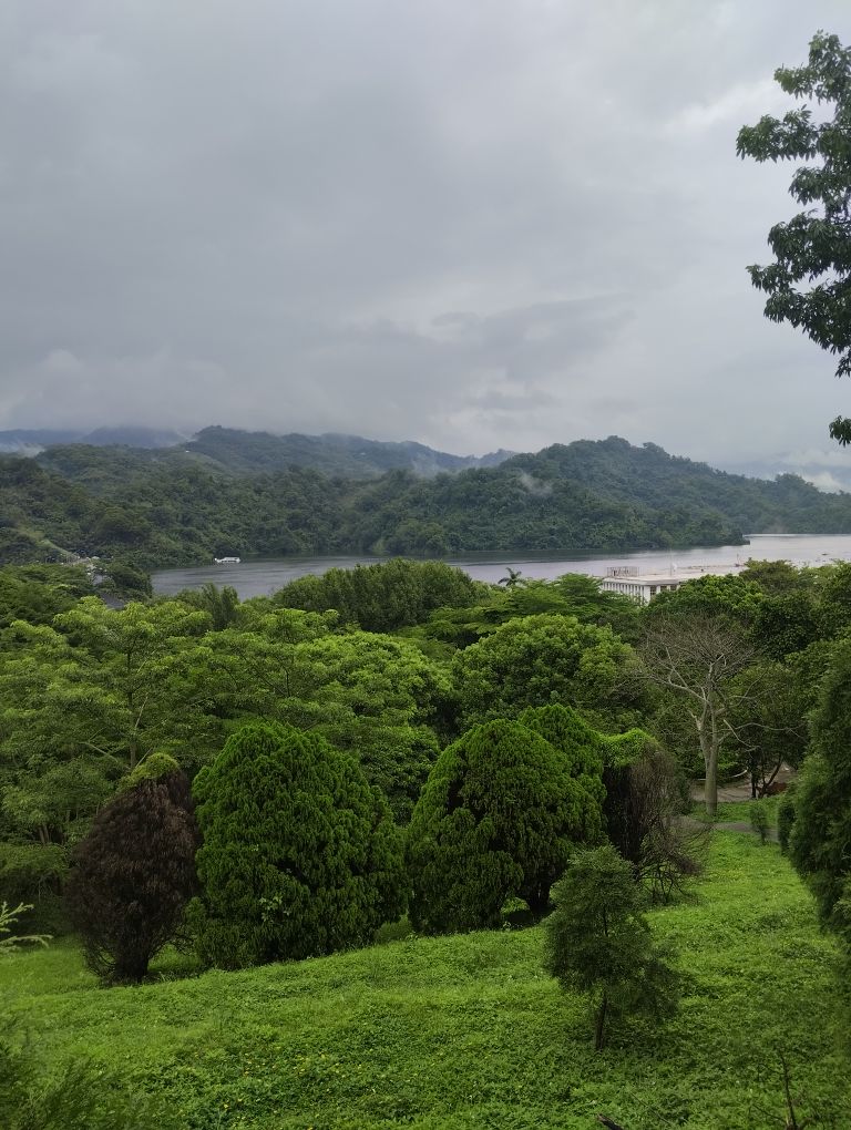 TWA00 加權指數 - 00887超妖崩完沒？網曝止血價 時報新聞2024/10/...｜CMoney 股市爆料同學會