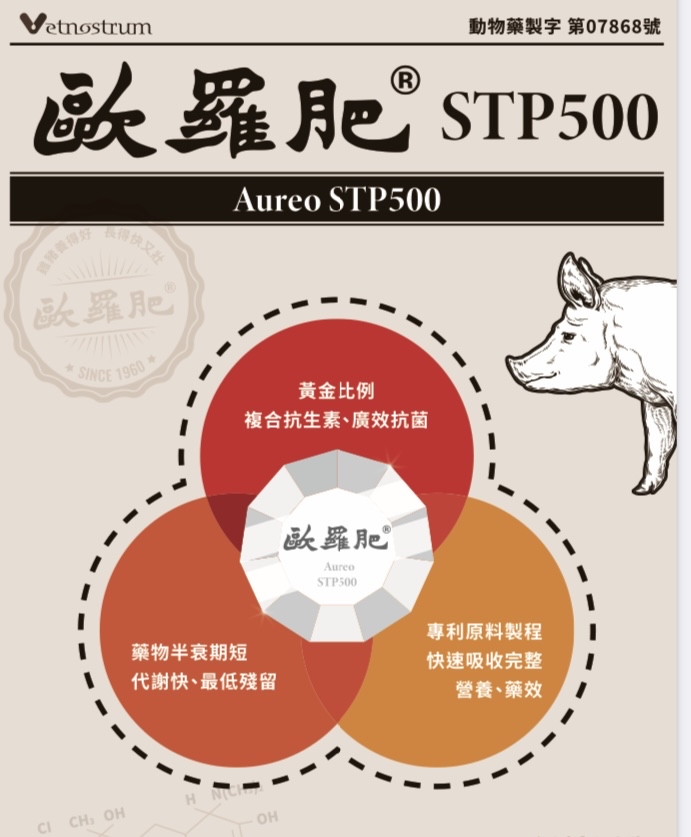 永鴻生技(6936)-今日即時股價與歷史行情走勢