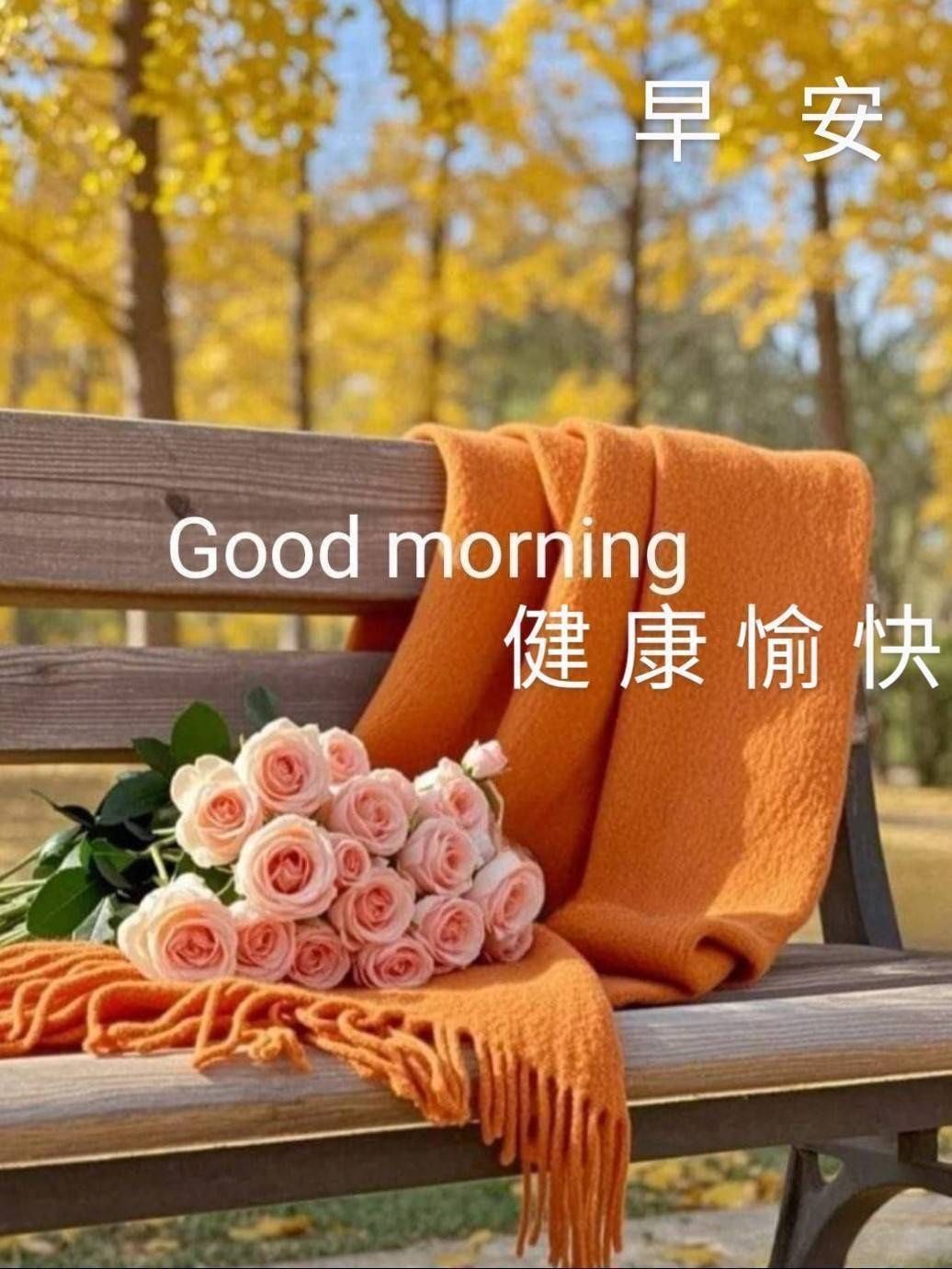 復華台灣科技優息(00929)ETF-今日股票股價與歷史行情走勢