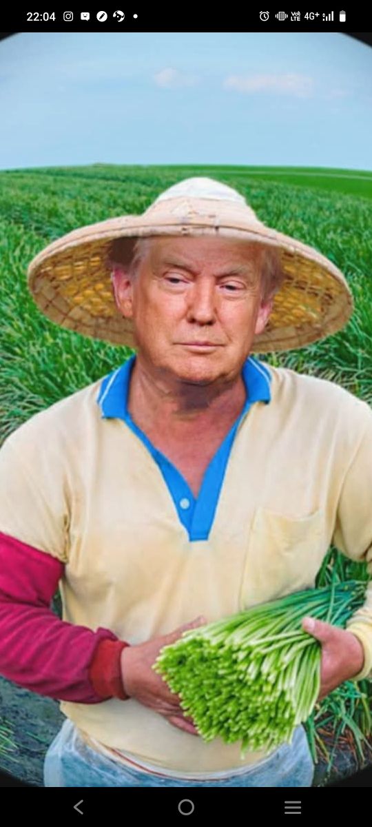 00680L 元大美債20正2 - 美國 2 月非農就業人數成長穩健，失業率意外走高，進一步證明...｜CMoney 股市爆料同學會