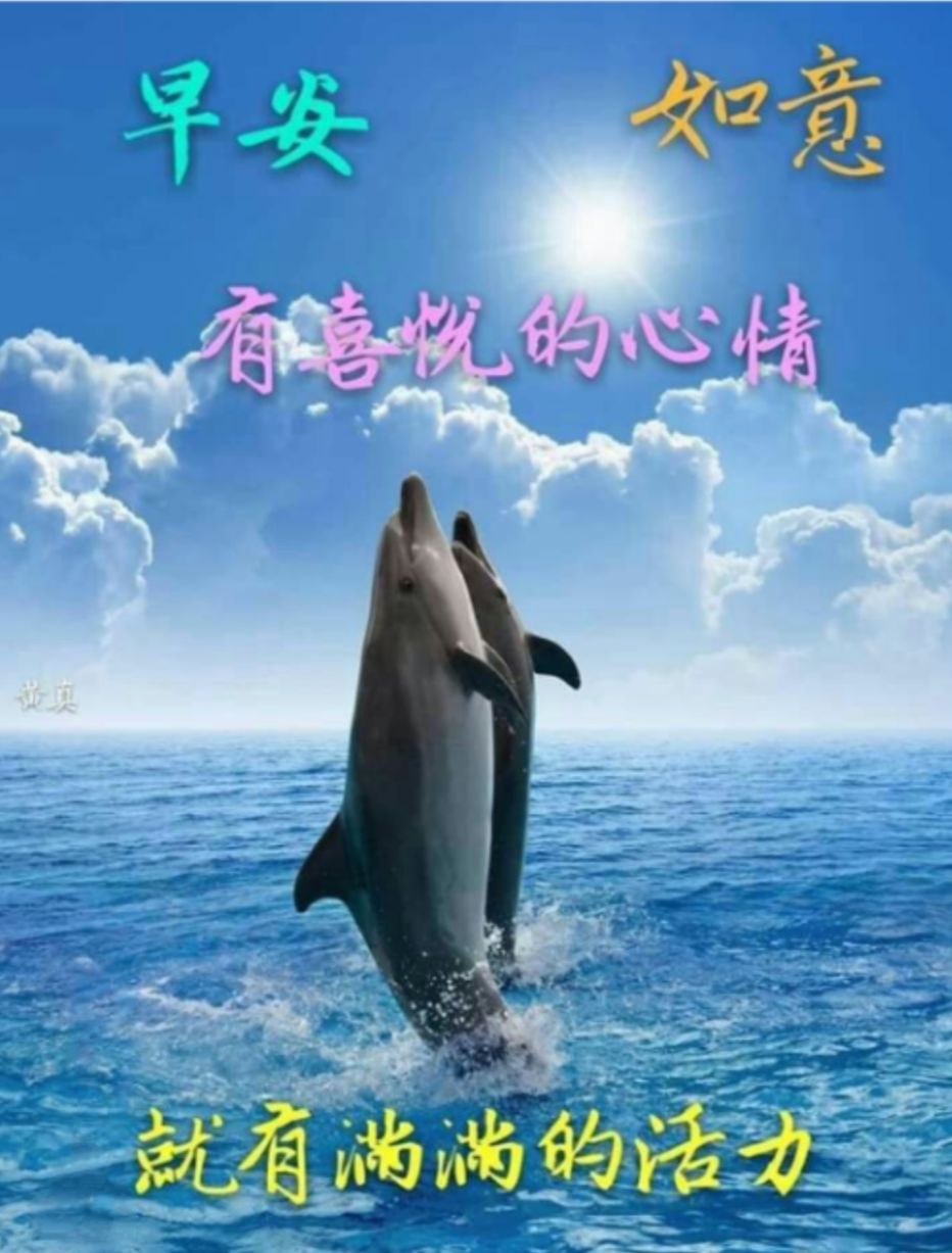 2327 國巨 - 期盼收盤來個激情演出！ 巨哥 UP ! UP ! UP ! ...｜CMoney 股市爆料同學會