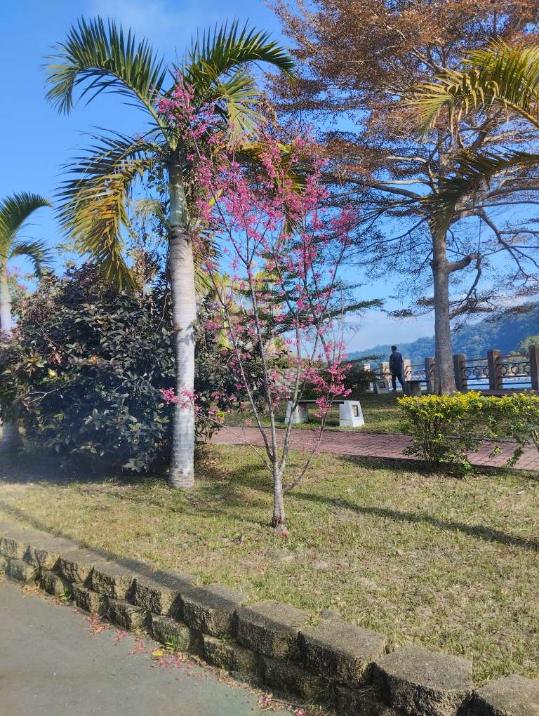 TWA00 加權指數 - 外資砍聲漸歇、投信連9護 三大法人賣超29.85億 時報新...｜股市爆料同學會