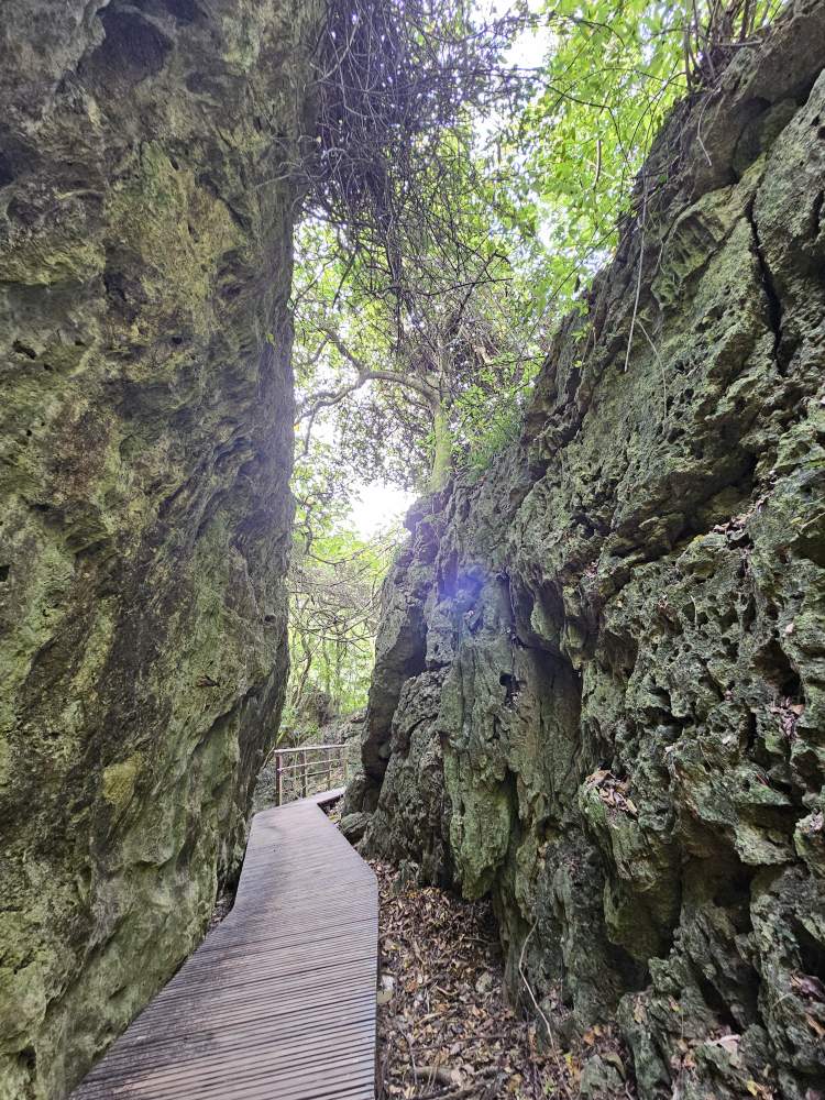 TWA00 加權指數 - 早安！｜股市爆料同學會