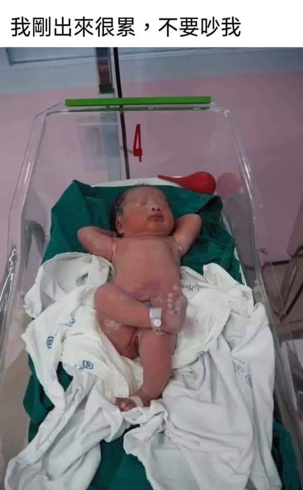 4763 材料-KY - 這禮拜應該會有空軍最後一擊吧，淡定😏等｜股市爆料同學會