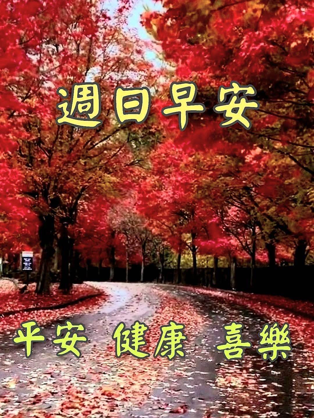 TWA00 加權指數 - 早安啊！朋友們，猛男辣妹們。｜CMoney 股市爆料同學會