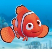 國泰台灣領袖50(00922)-今日股價走勢+國泰台灣領袖50討論區